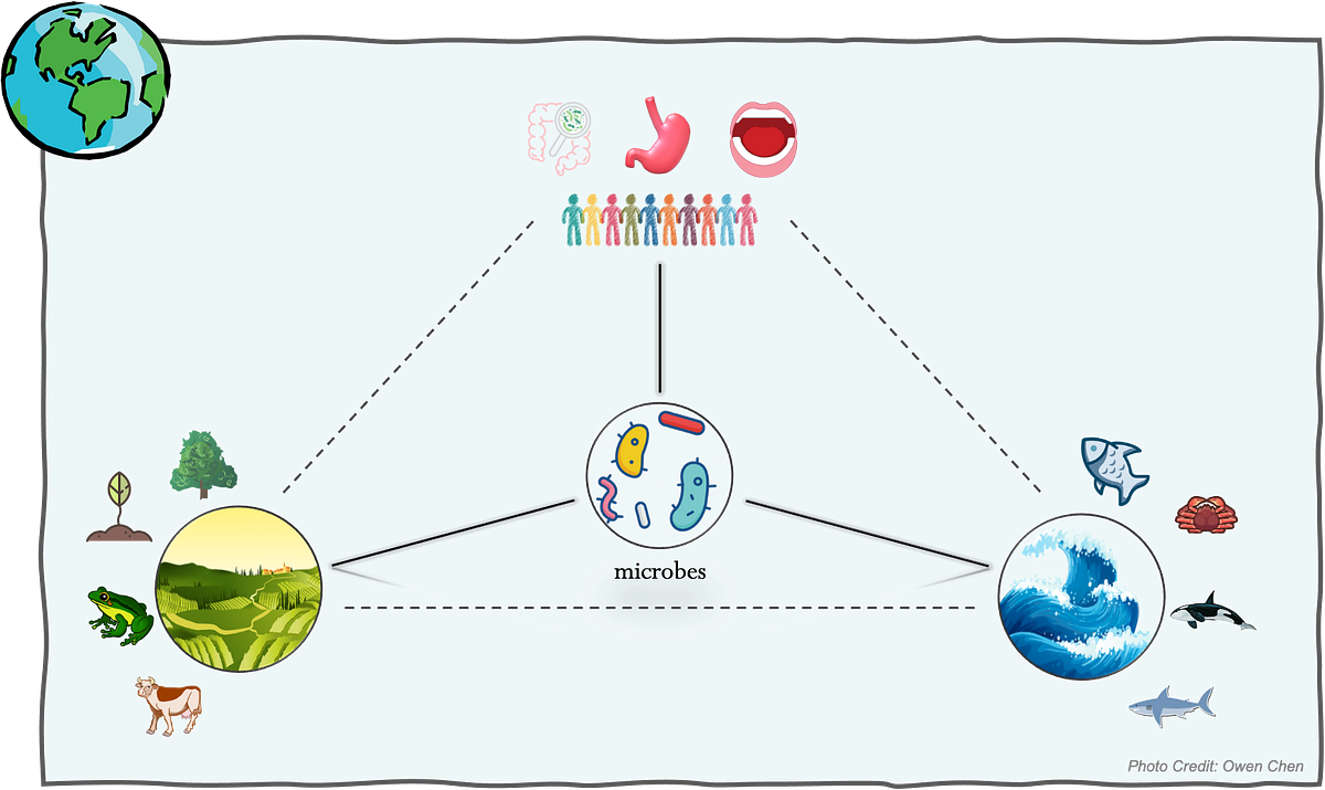 Microbes and Environment. Whenever we talk about microbes, what… | by ...