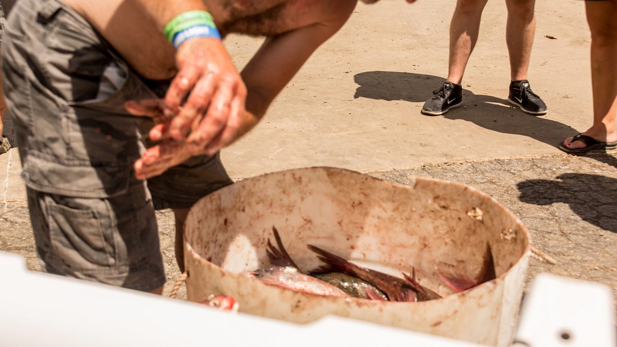 A Muddy, Fun Trip to the Redneck Fishing Tournament | by LiveThriveDive ...
