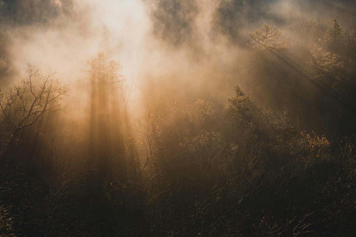 Ethereal Sonder. The feeling creeps in, soft but… | by Wino Lailossa ...