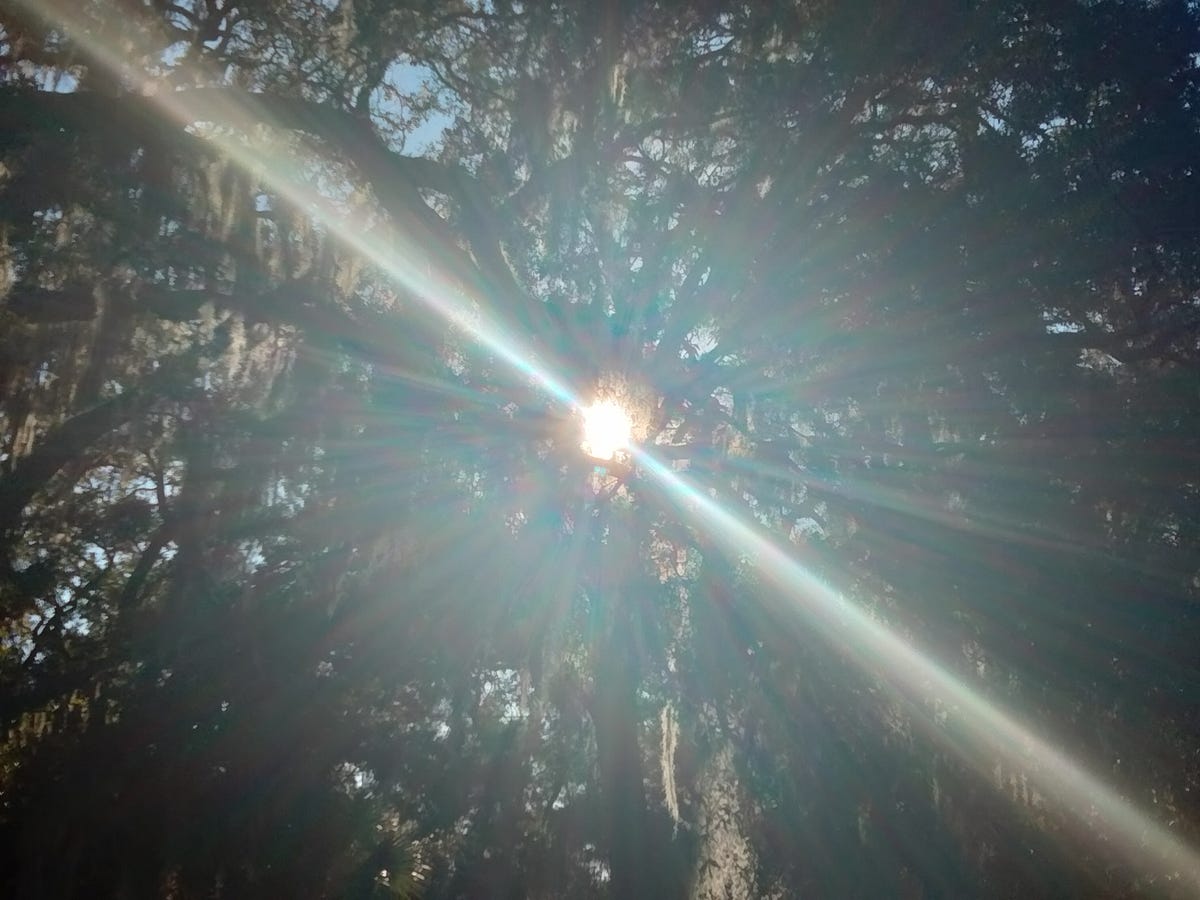 Don’t Follow The Leader — Be The Leader! | by Annelise Lords | Be Open ...