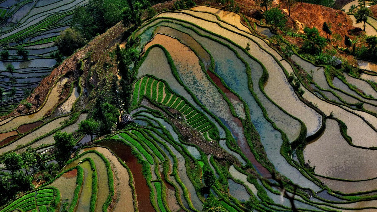 China and beyond. Lorem ipsum dolor sit amet, consectetur… | by Boon ...