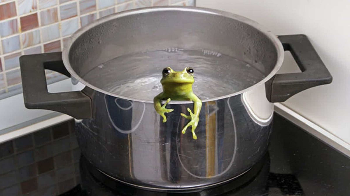 How Do You Make The Frog Understand That It’s Boiling Alive? | by ...