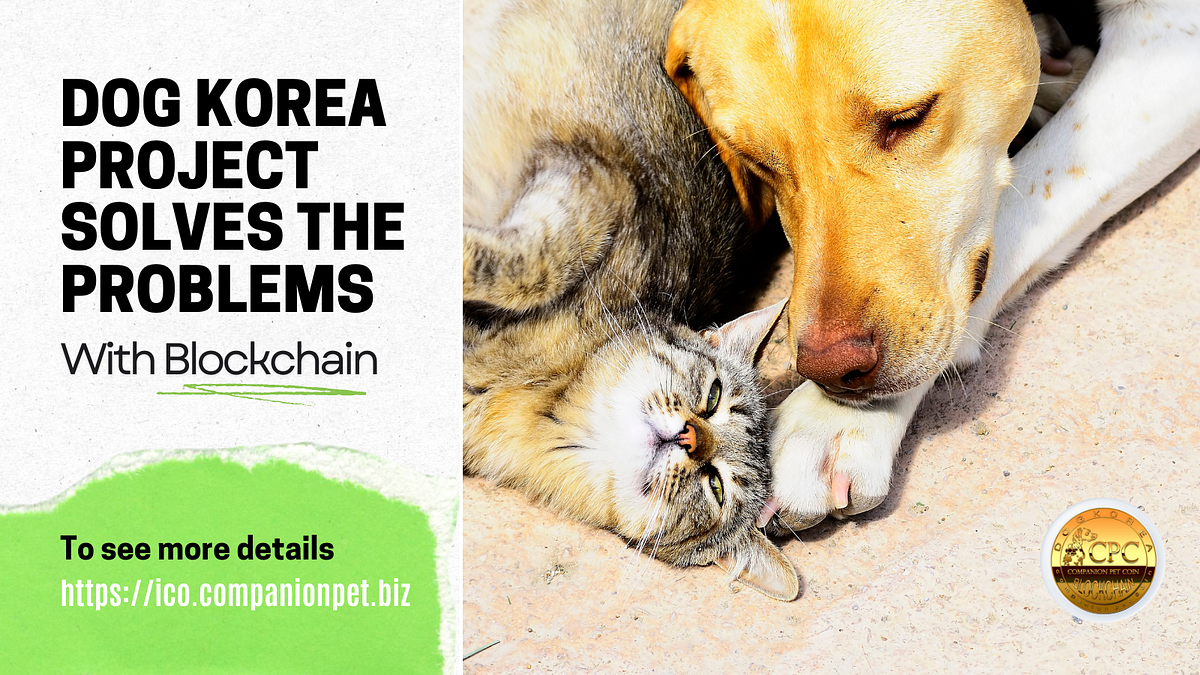 Companion Pet Platform Project Solves the Problems | by Companion Pet ...