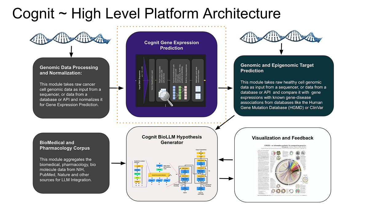 Shaping the Future of Life-sciences: Cognit’s Comprehensive Framework for Cross-Species, Multi ...