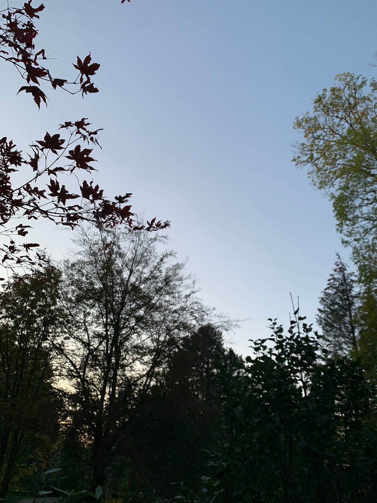 Premonitions & Afterthoughts. Do we all have premonitions? | by Dorit ...