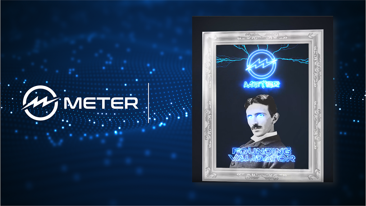 TESLA Founding Validator NFTs returning to Meter Network! | by ...