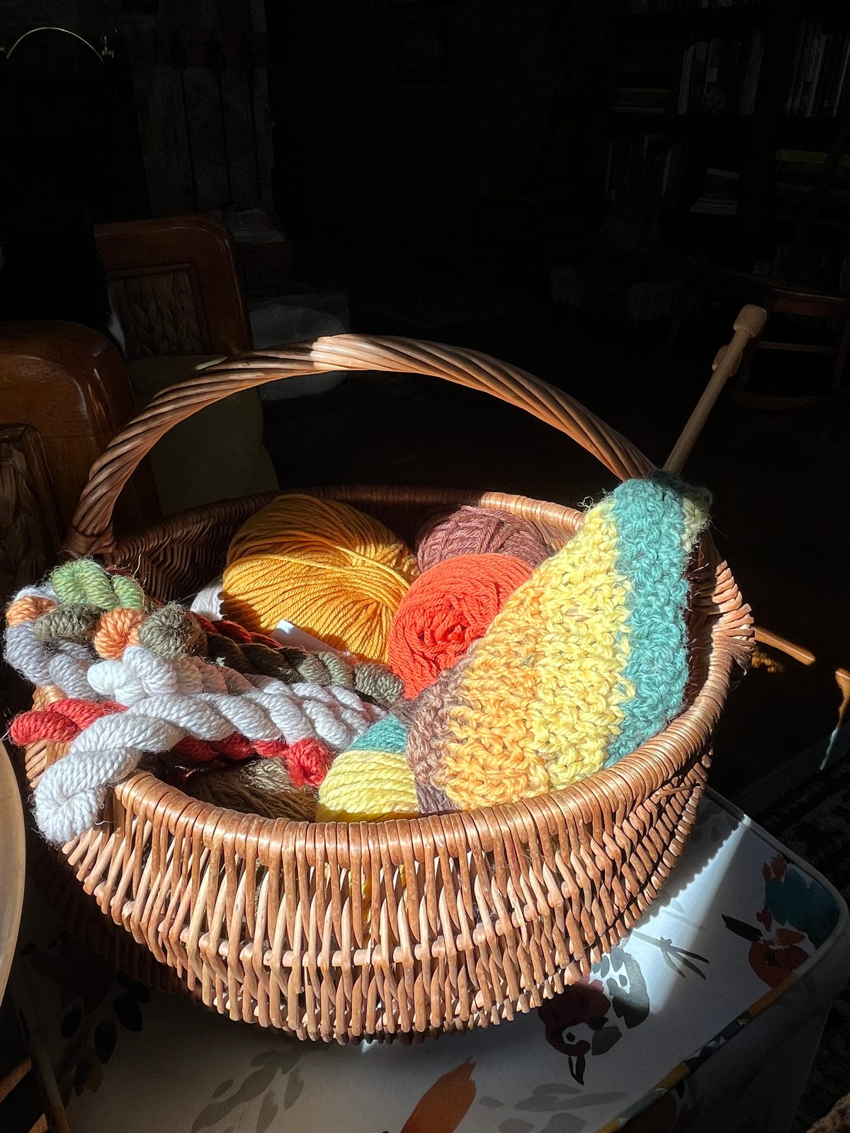 Sunbeams and A Cozy Kitty. My week in photos | by Beth Bruno | Weeds & Wildflowers | Nov, 2023 ...