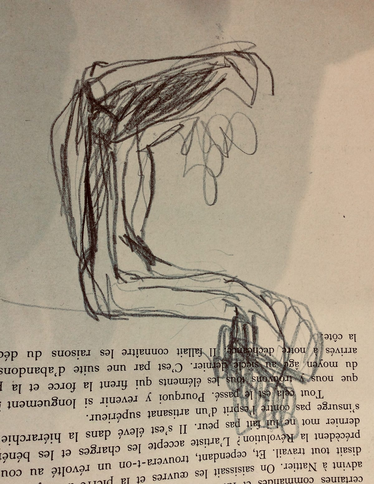 Flawed Family Fracas - The Lark Publication - Medium