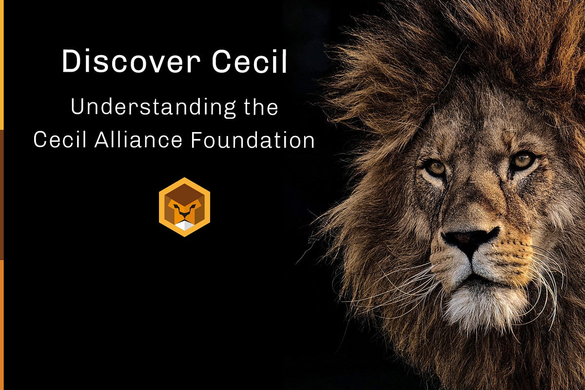 Discover Cecil - Part 2: Understanding the Cecil Alliance Foundation ...