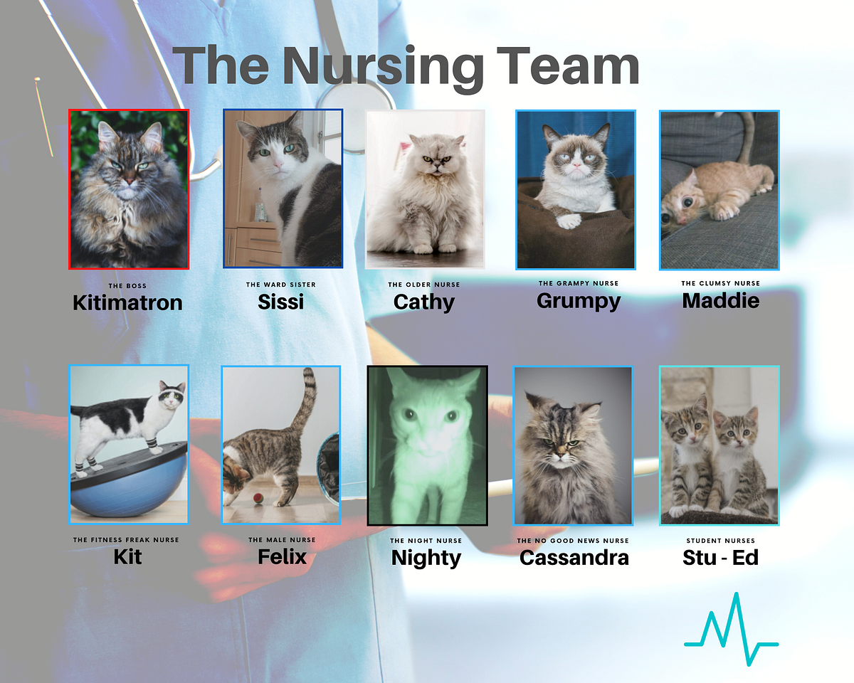 A Typical Nursing Team In The Fearless World Of Felines | by Antonio ...