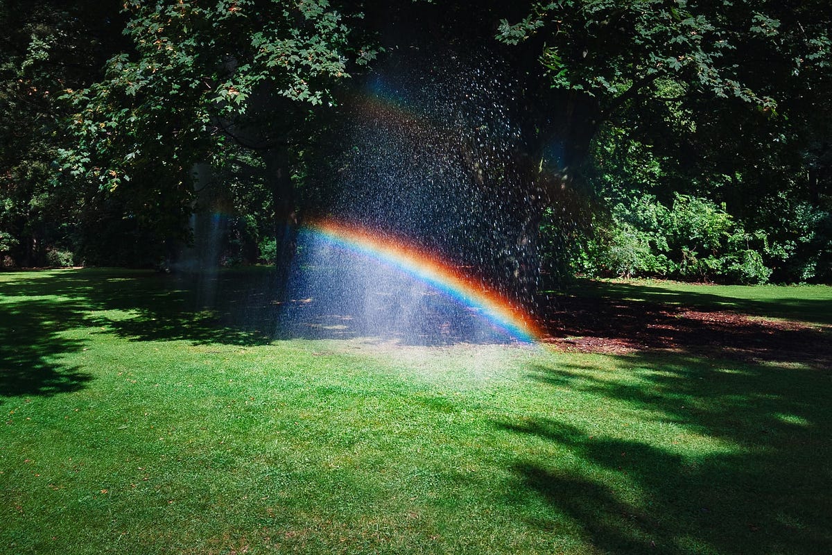 A Sunday Miracle. A short fictional story about a miracle | by Denise ...