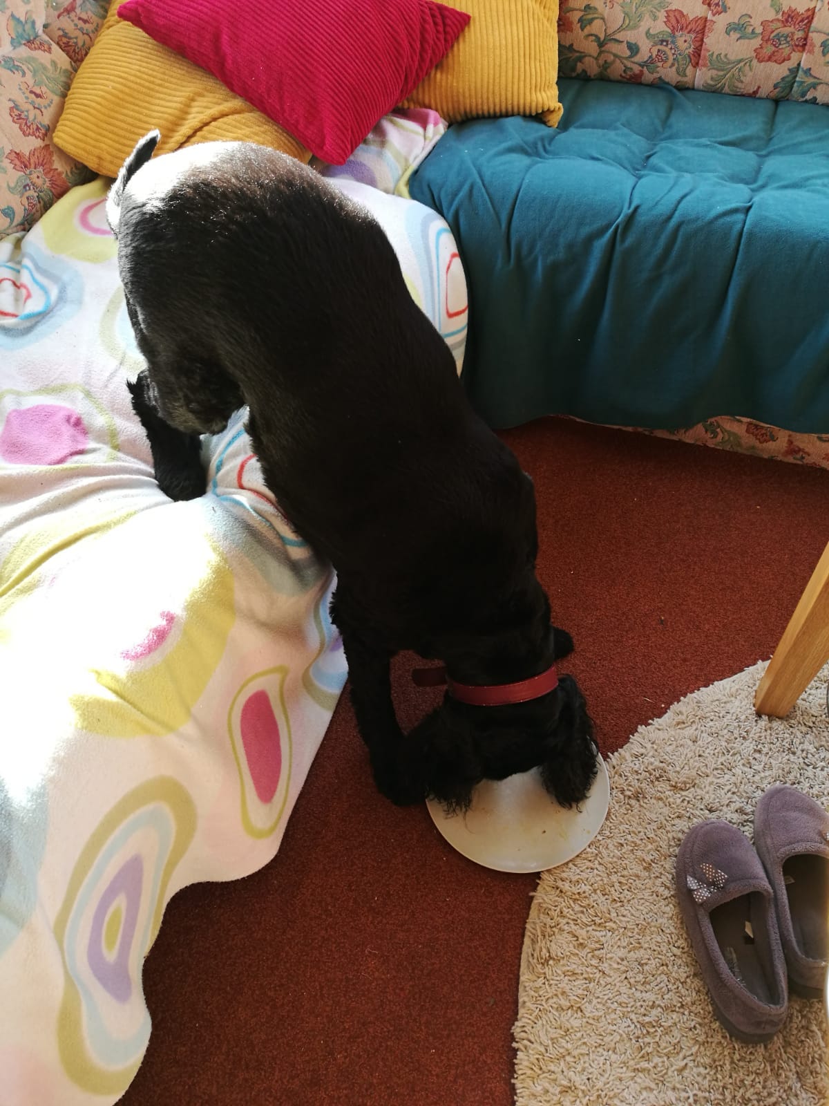 Holibobs. At the end of July we all went to the… | by Milo Springybum ...