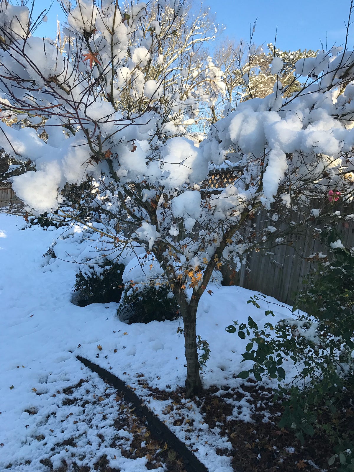 The Cold Between Places. Where feeling Begins to Freeze. | by Kelsey ...