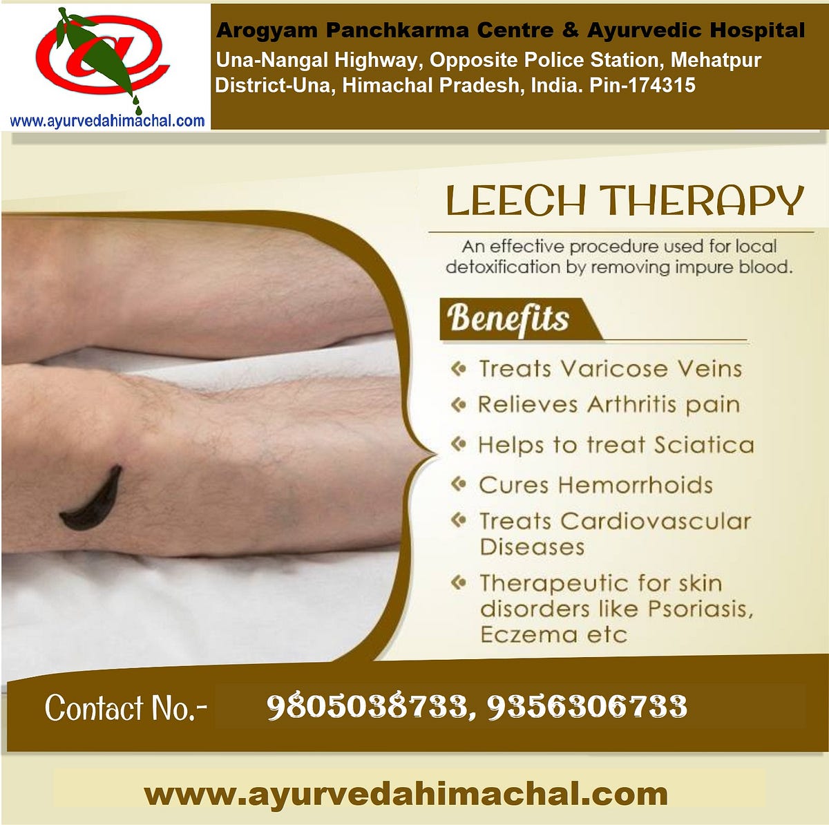 Leech Therapy is a type of blood purification therapy that aids in the ...