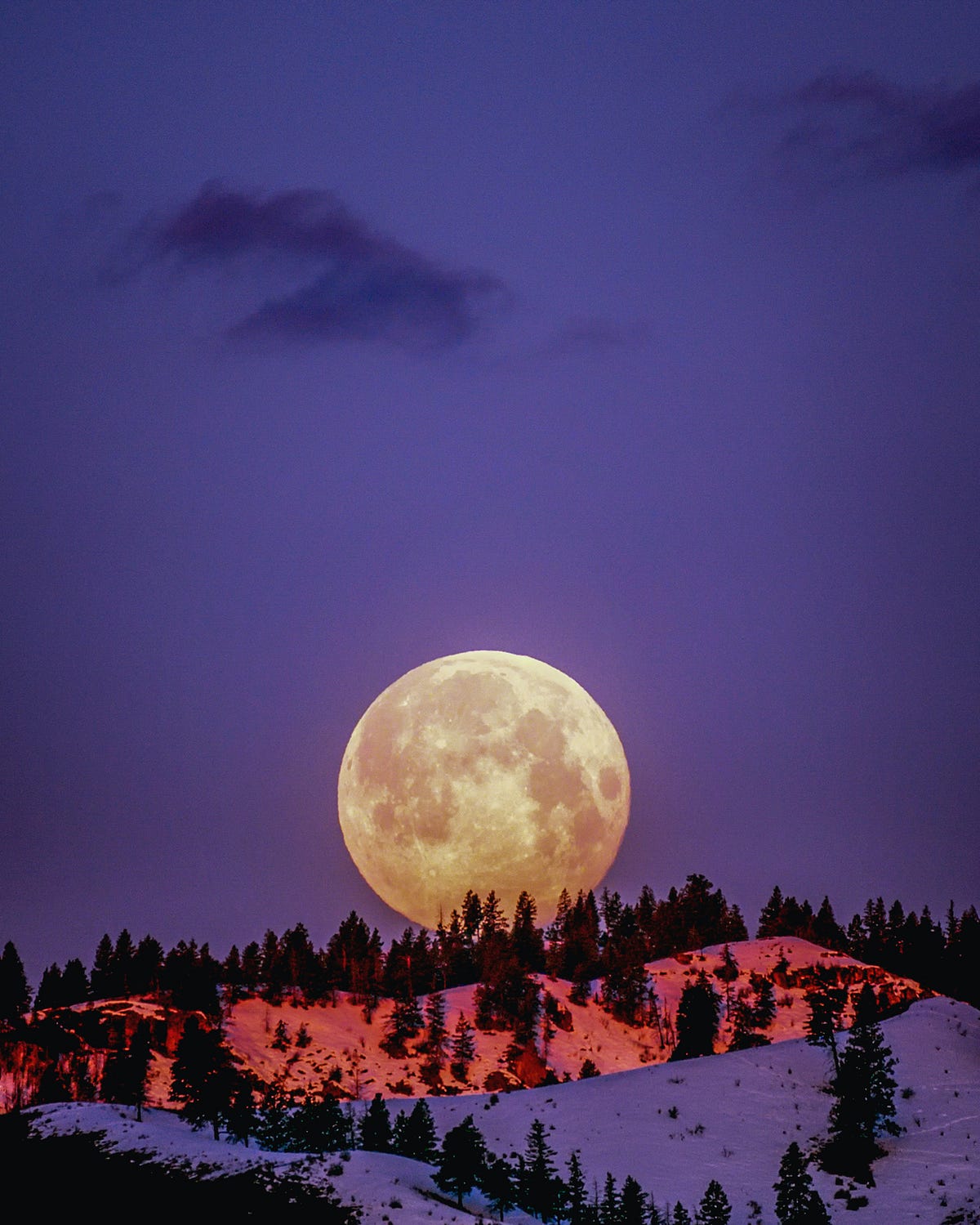 Trance Magic — Drawing Down the Moon Ritual | by Bellalouden | Medium