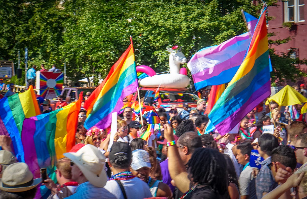 An Introvert’s Guide to Pride. By Sassafras Lowrey | by Matthew's Place ...