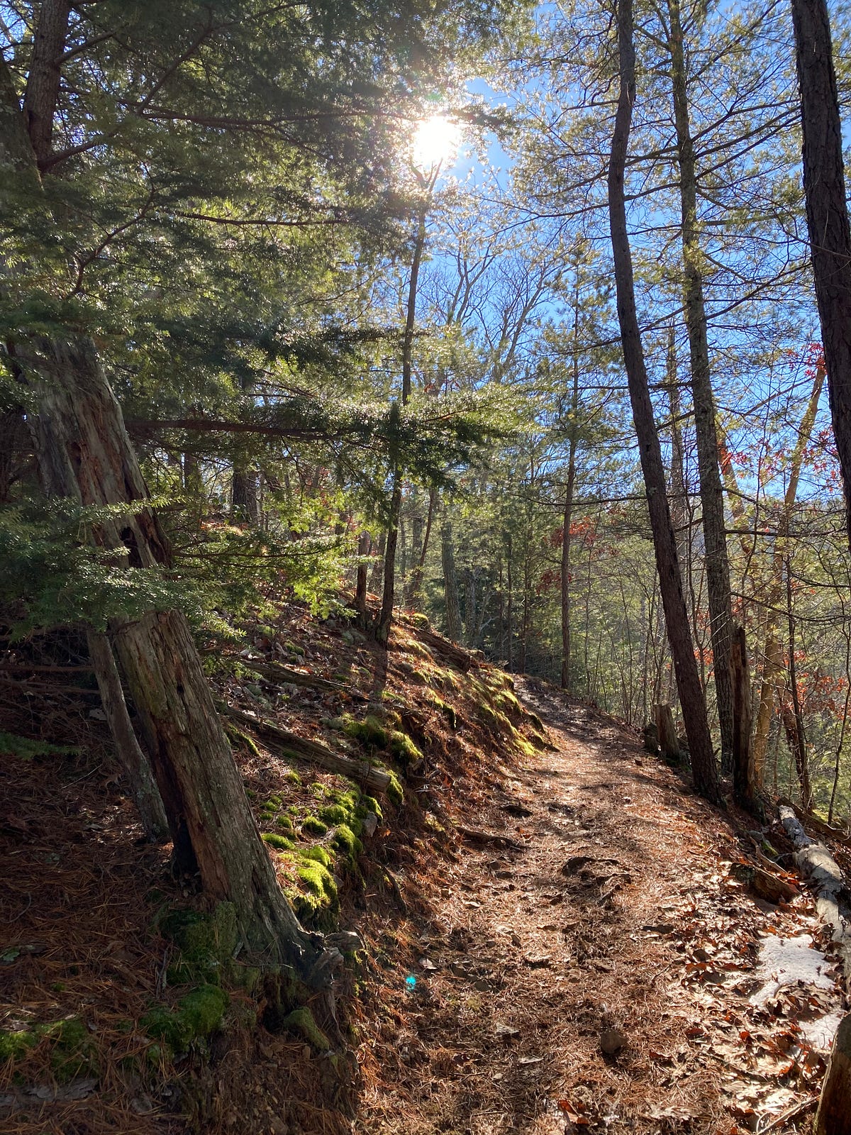 A Valuable Life for Perpetual Learners and Unconventional Path Makers ...