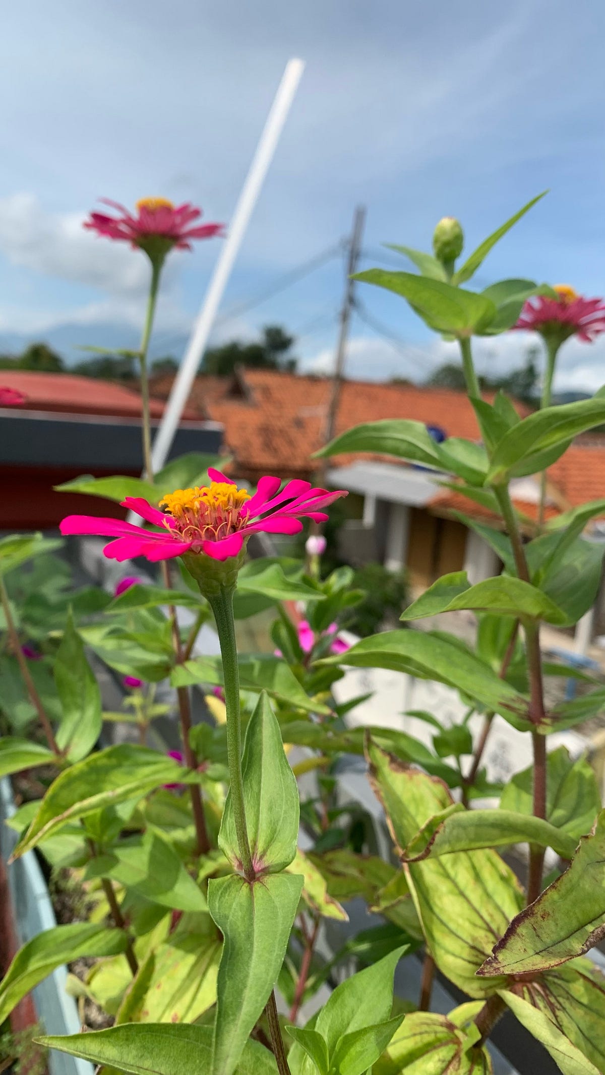 A Journey to Rediscovering Myself | by Rati Afina | Sep, 2024 | Medium