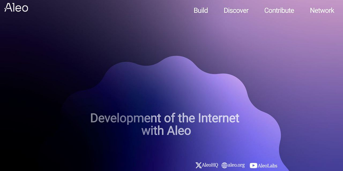 Development of the Internet with Aleo | by Petriv Stanisalv | Jul, 2024 | Medium