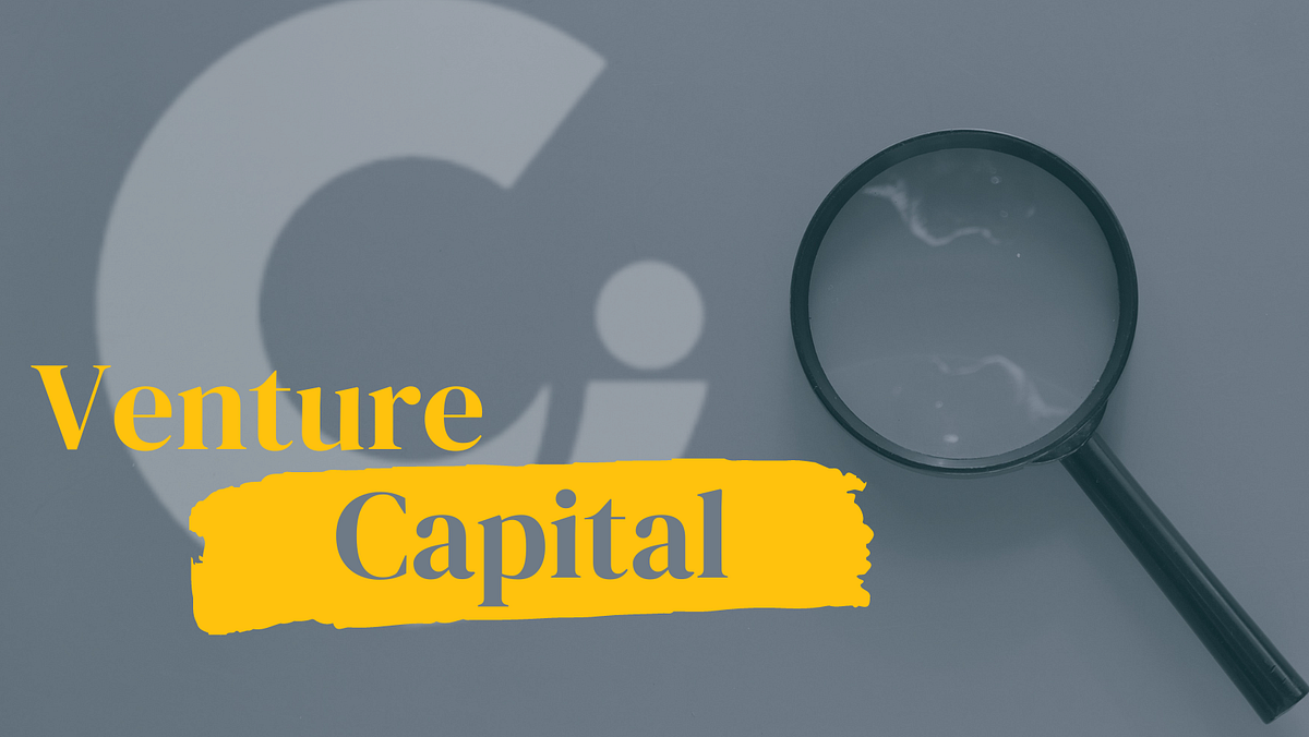 Understanding the Capital Behind Venture Capital | by Cathay Innovation ...
