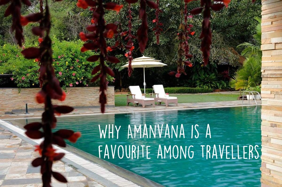 Why Amanvana is a favourite among travellers | by Amanvana Spa Coorg ...
