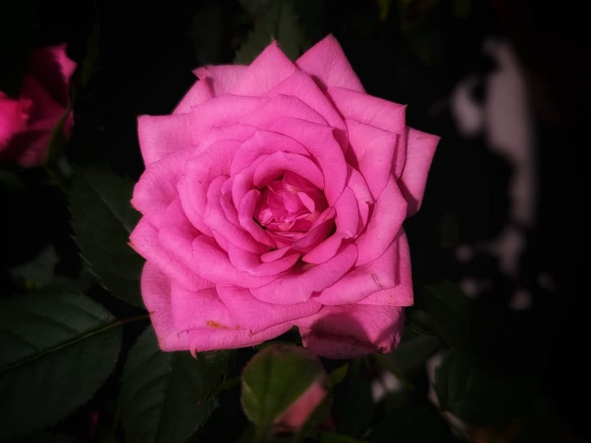 Forbidden Feelings. Fiction - A Scene - The Identity and… | by C. Chou ...