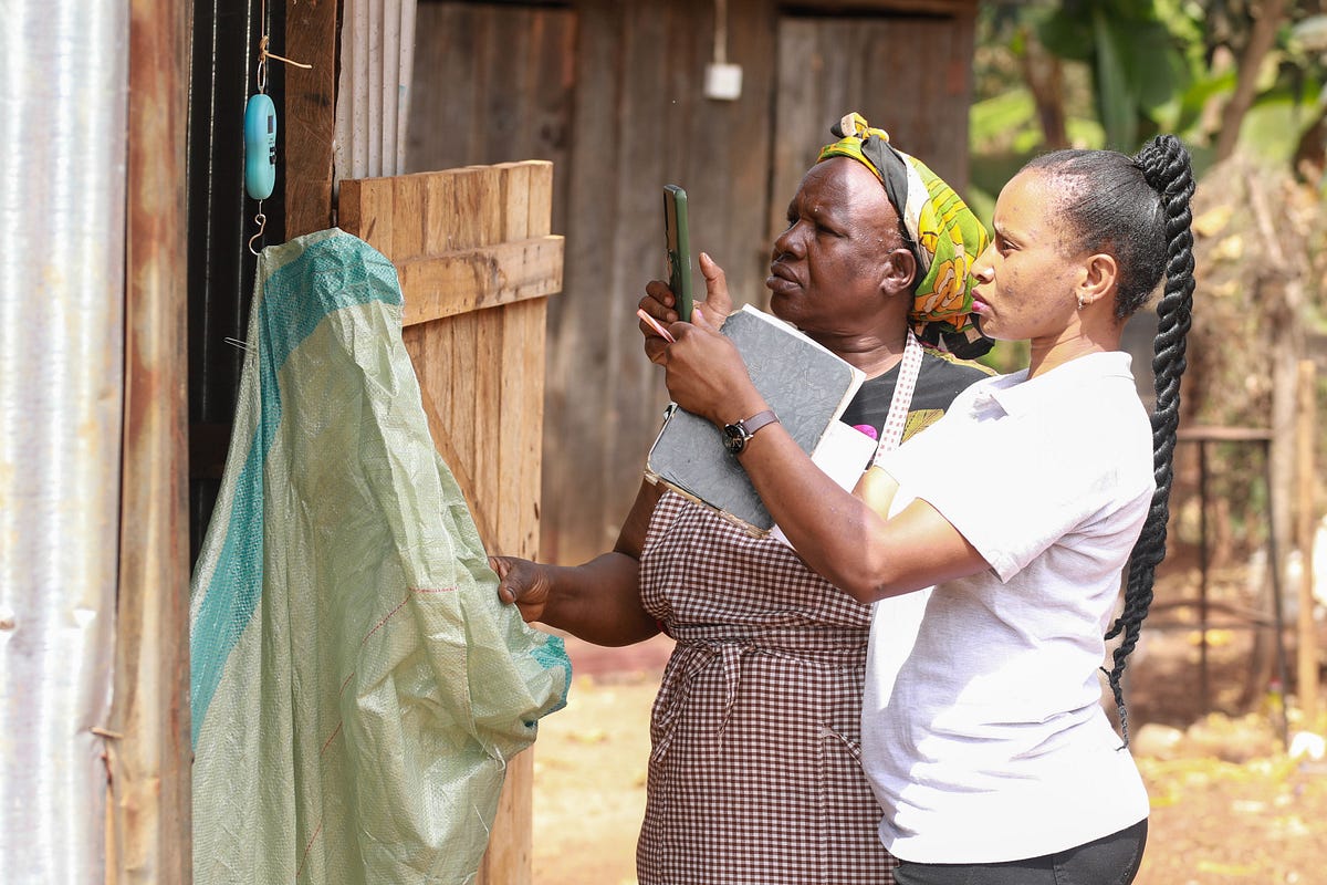 Insurance now, pay later: Introducing Pula’s pay-at-harvest pilot | by ...