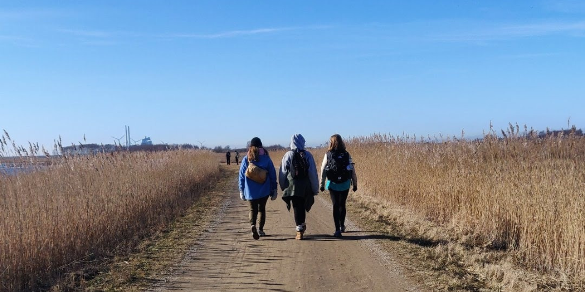 Embracing Autumn: A small guide to autumn hikes | by Jenter på Eventyr ...