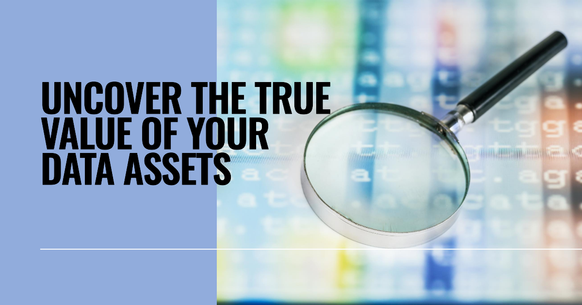 Data Detective: A Journey to Uncover the True Value of Your Data Assets ...