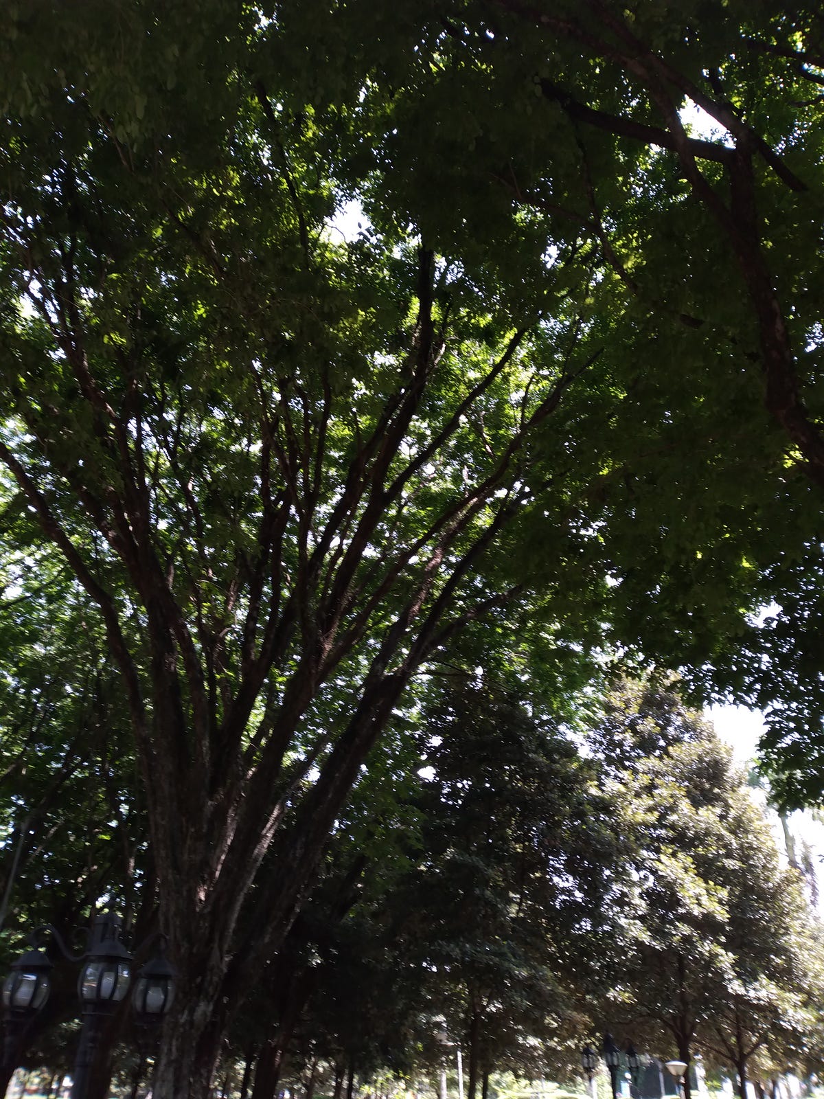 TALKING ABOUT GRIEF. I am writing these sentences to recall… | by ...