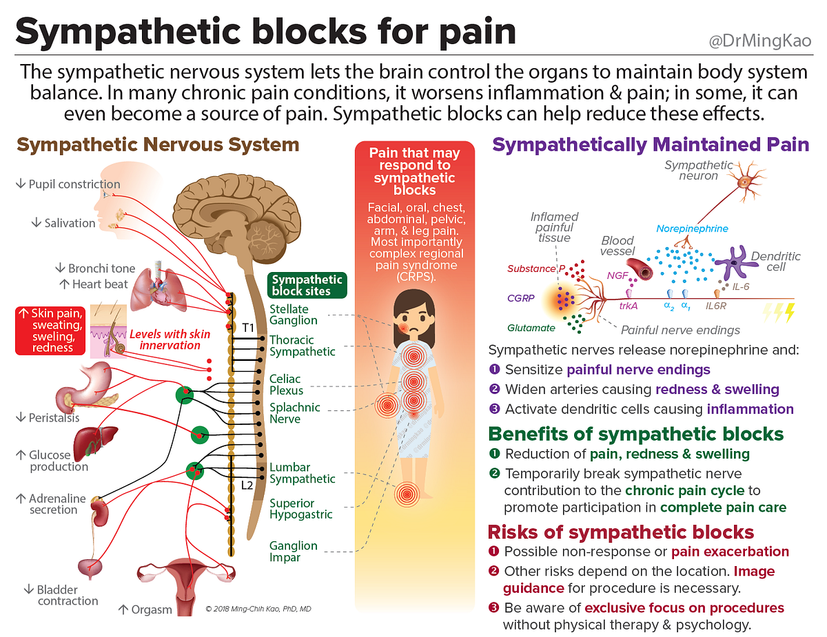 Sympathetic blocks for pain. The sympathetic nervous system lets the ...