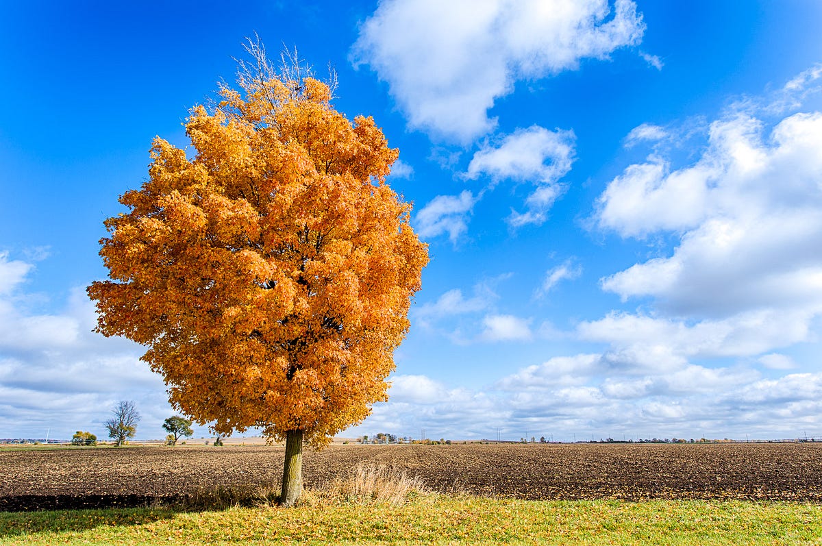 Embracing the Fall Season Through Photography | by Lauri Novak | Full ...