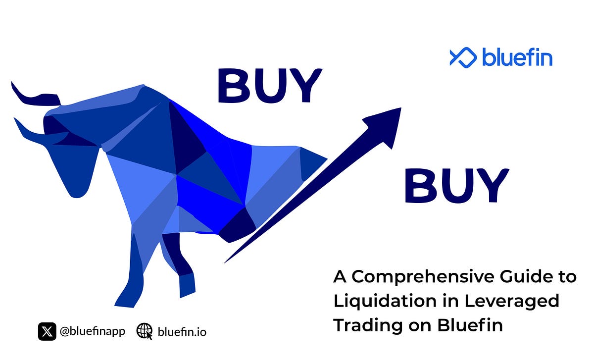 A Comprehensive Guide to Liquidation in Leveraged Trading on Bluefin ...