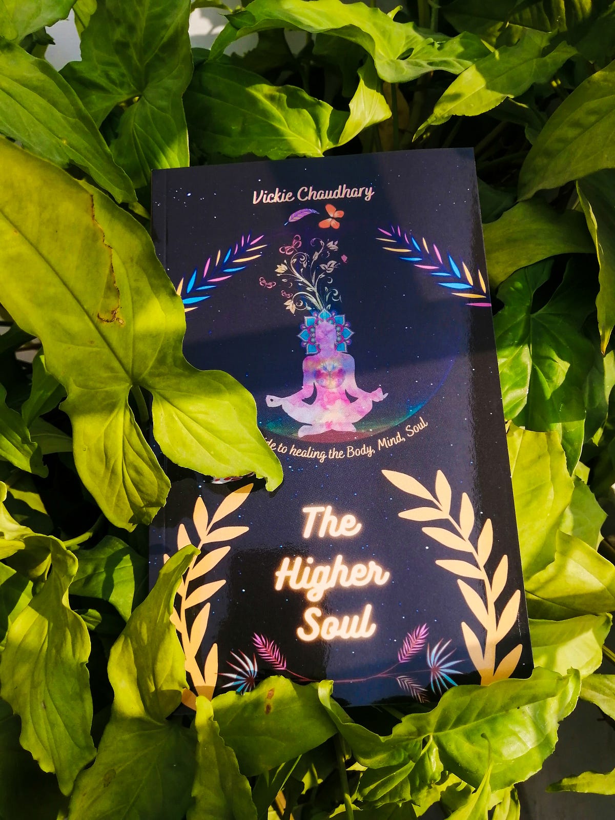 The Higher Soul - A Guide to healing the Body, Mind and Soul - Vickie ...