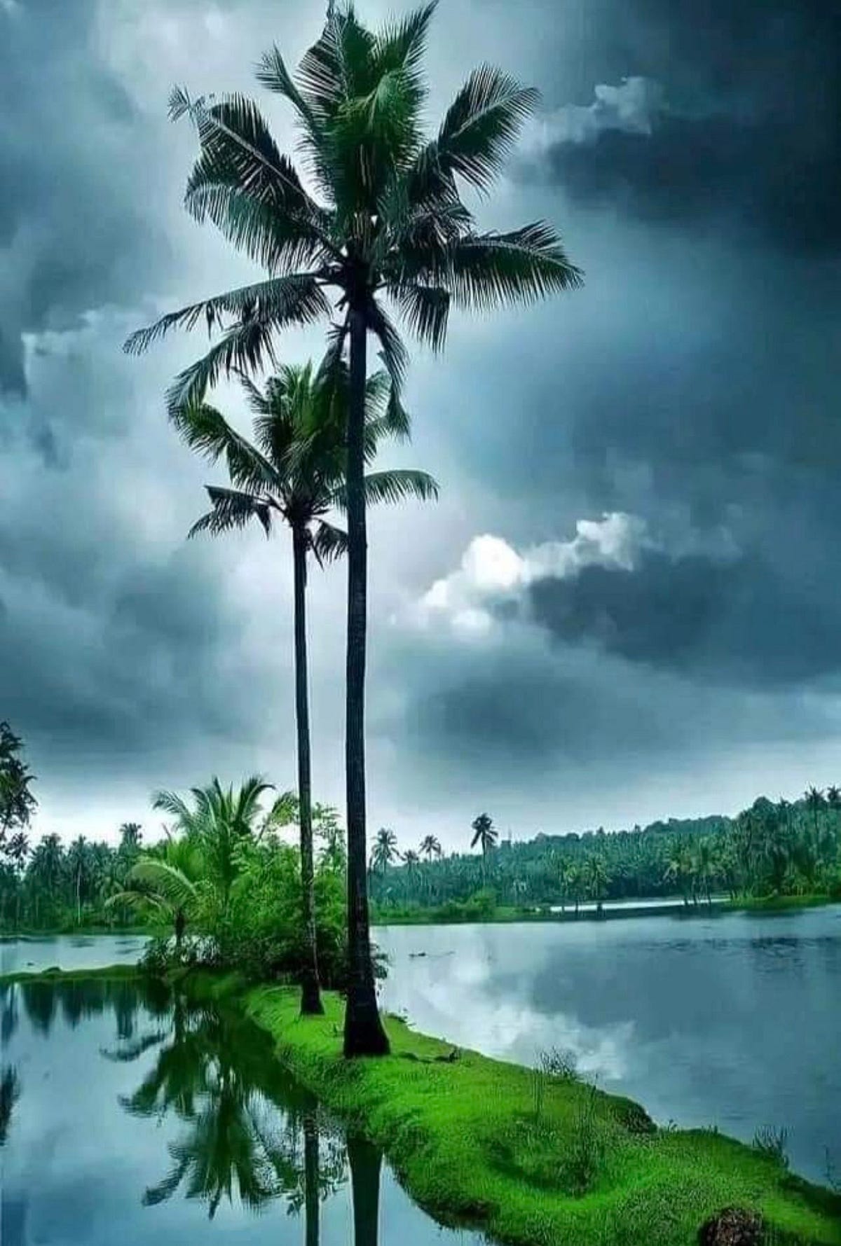 Rainy Shamiul Islam Shamim Evening came to my house; In the rhythm of ...