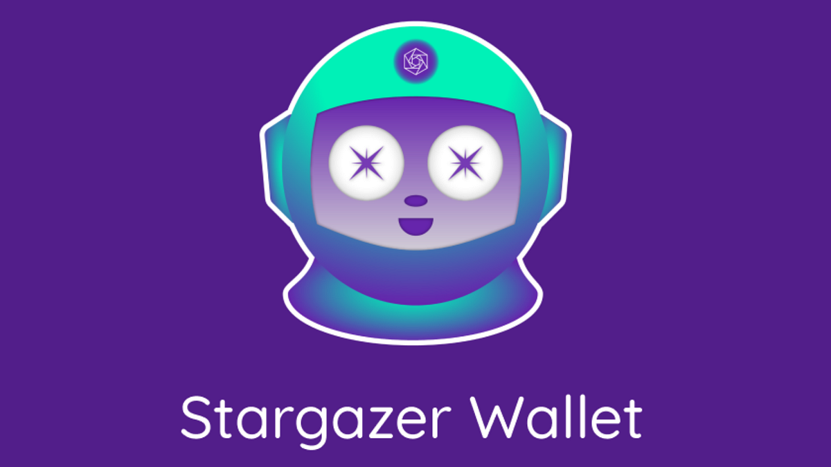 Introducing: The Stargazer Wallet by Stardust Collective | by Gina ...