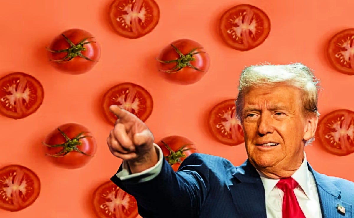How Will More Expensive Tomatoes Make America Great Again? | by Ana ...