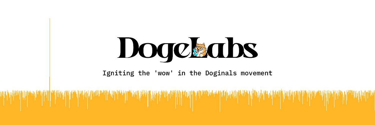 PSDT Standard Updated — Vulnerability is now Closed on drc-20.org | by Chris DogeLabs | Doge ...