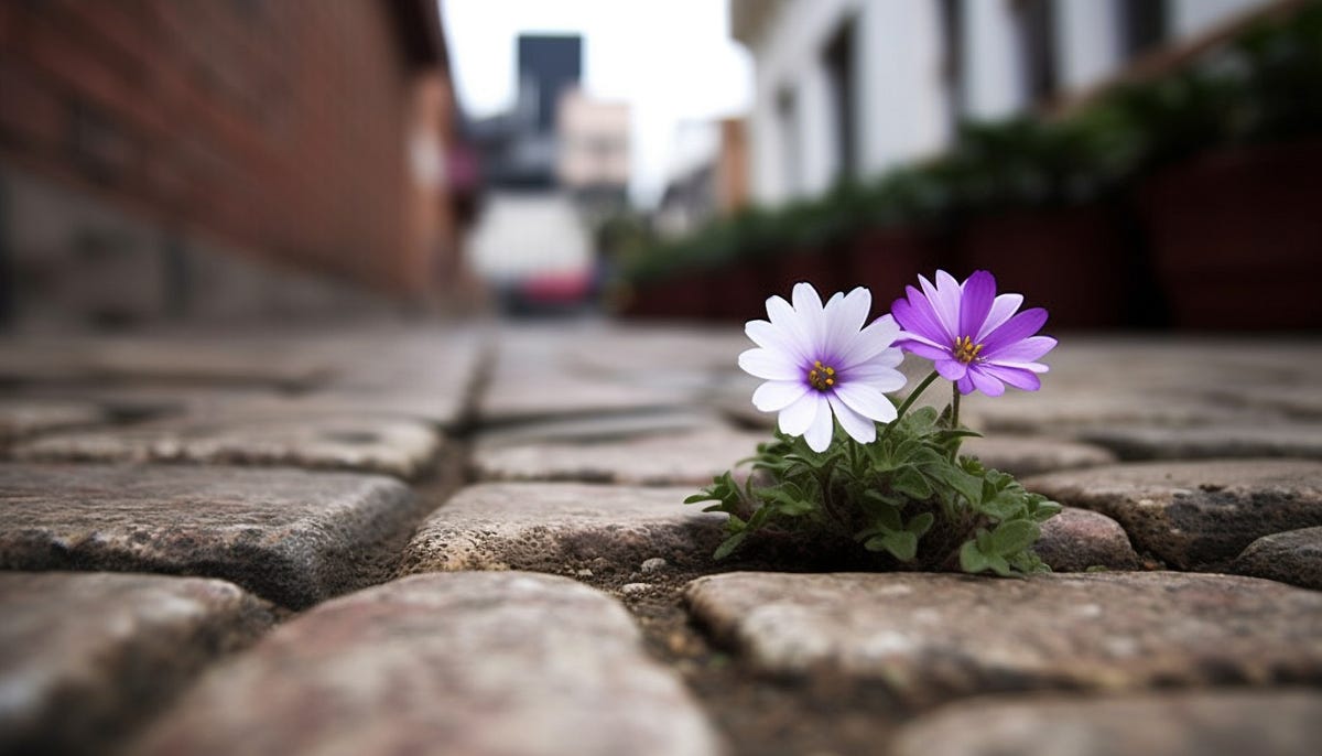 Let’s Recall How To Pursue a Better Way of Life Systematically | by ...