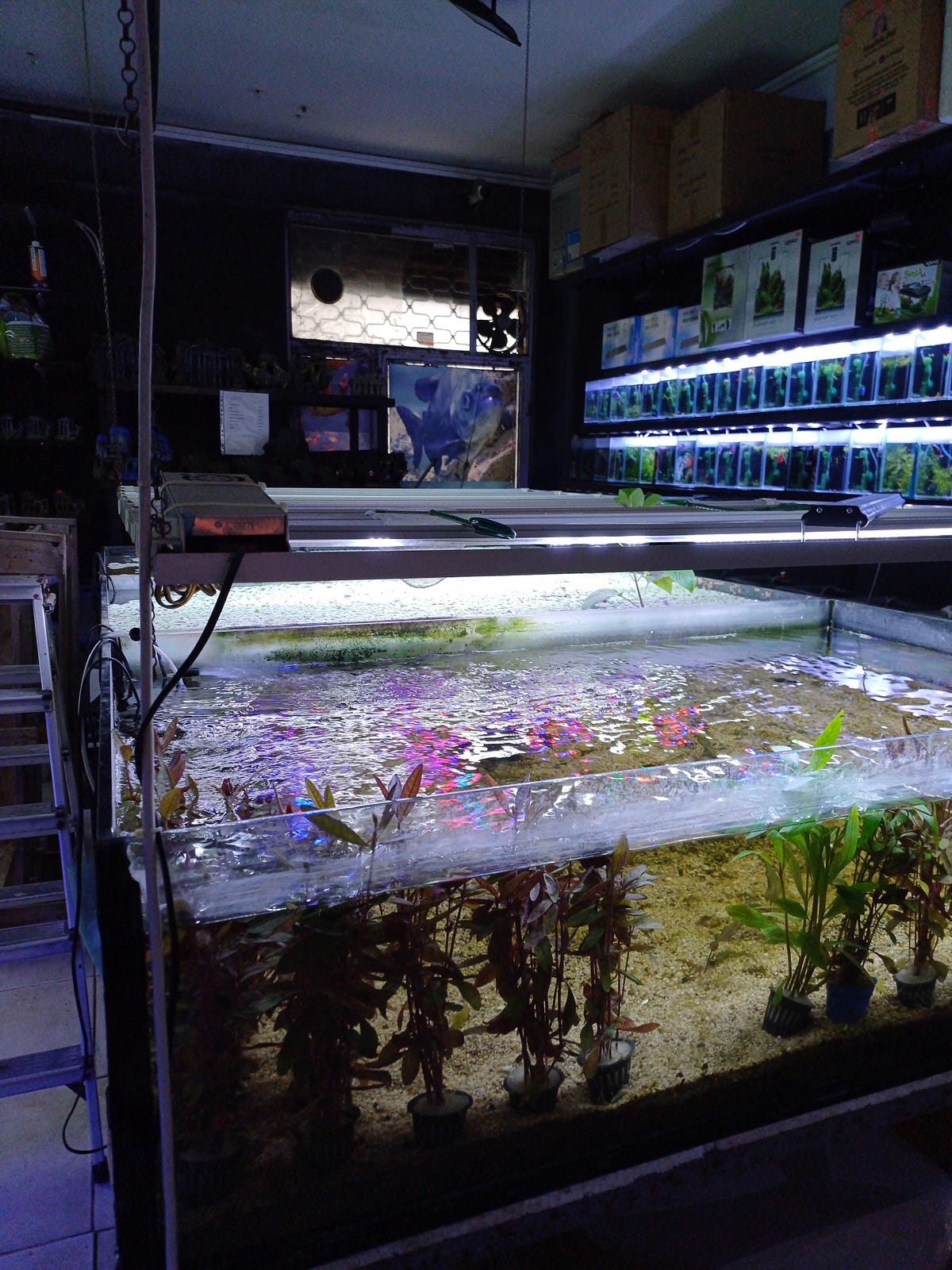 Beat The Interview With Sorting Algorithms With Typescript By Sertan Soydabaş Stackademic 6813