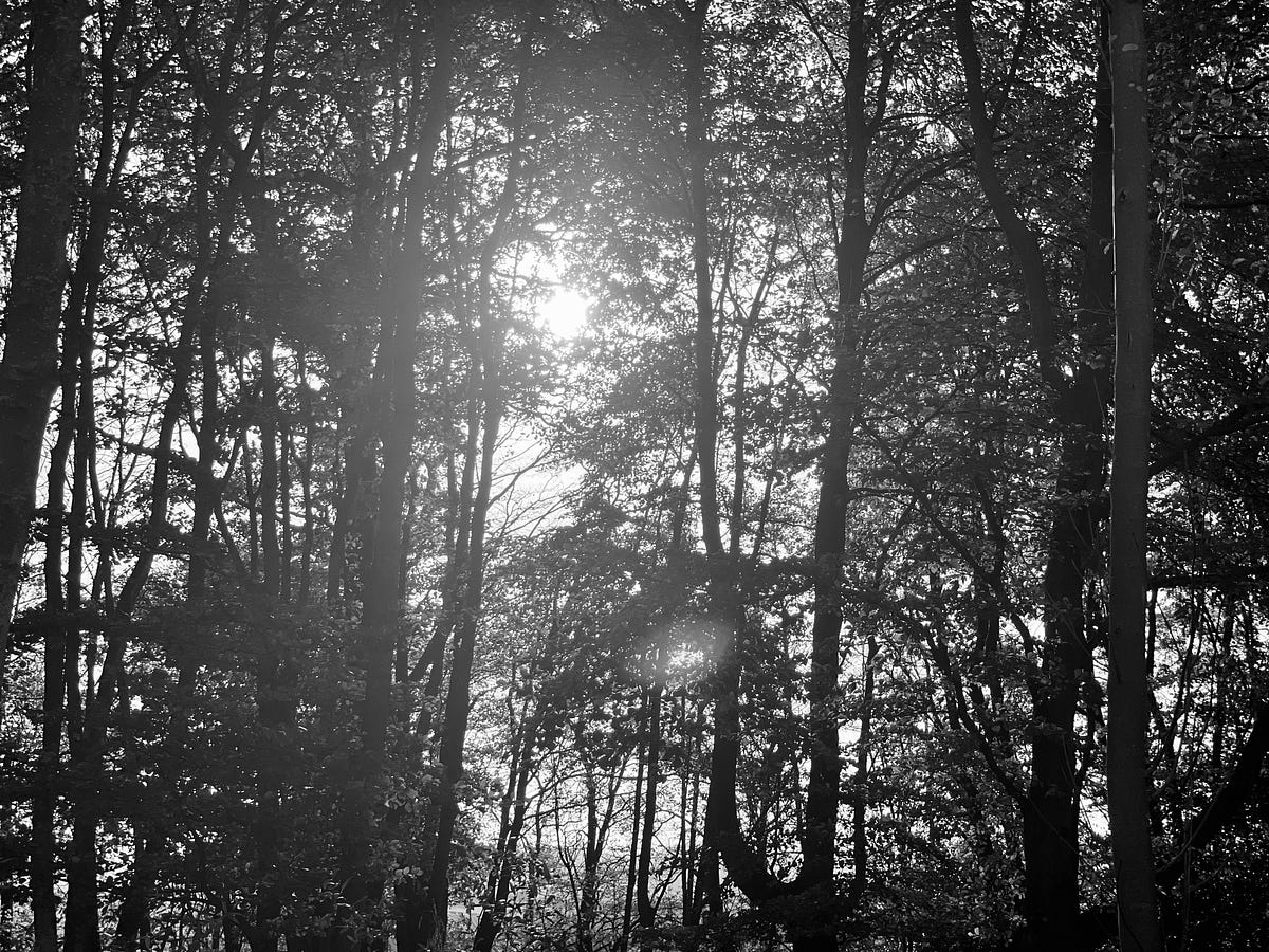 November is the Worst Month of the School Year. Discuss. | by Kevin ...