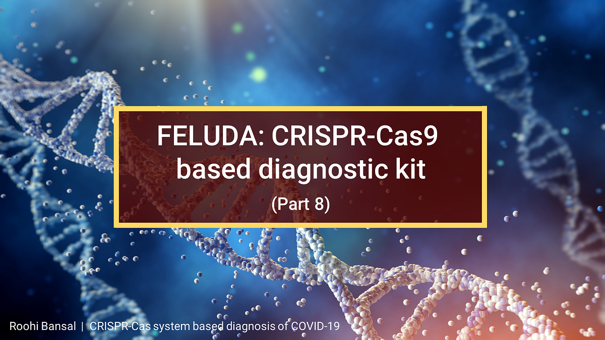 FELUDA: CRISPR-Cas9 based diagnostic kit to detect COVID-19 (Part 8 ...