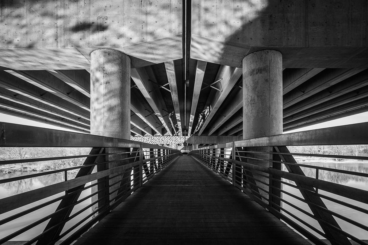 My Photographic 2025. Mostly photographic | by Lauri Novak | Picture ...