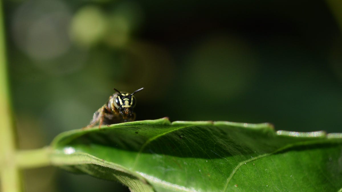 A Quick Start Guide to Java Unit Testing — Mockito and JUnit 5 | by ...