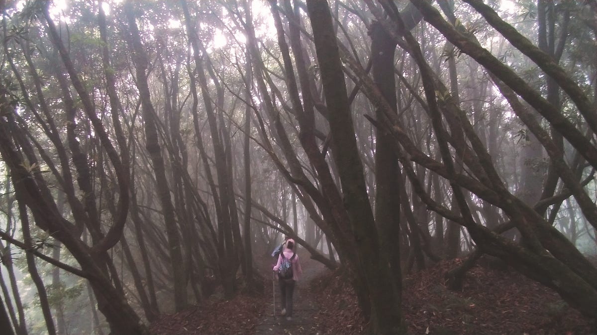 你所走過的路，都留下了你的影子. 同時也成了你的名字 | by Sheng-Kai Lin | Medium