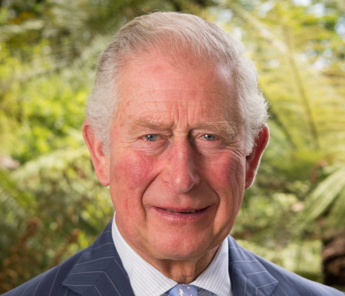What To Expect When King Charles III Dies | Lessons from History