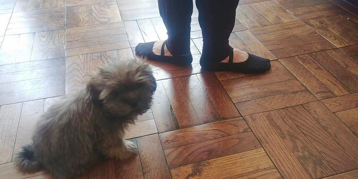 Perfectionism. I started taking real ballet classes… | by Leslie ...