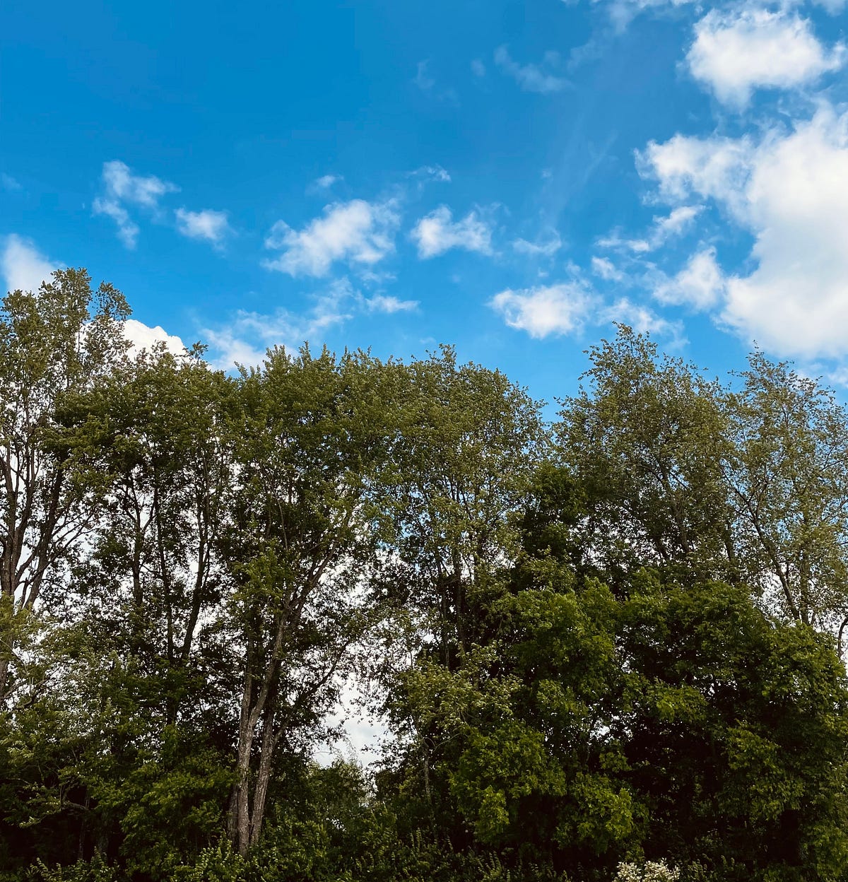 Cycle Breaking Summer. 6.18.23 | by Kaleigh Jo Vance | Jan, 2024 | Medium