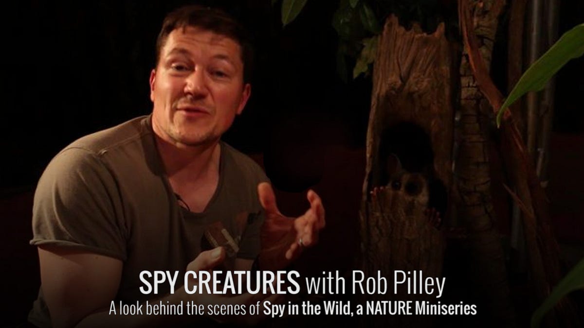 EG Extend: Up Close & Personal with SPY CREATURES from BBC/PBS “Spy In ...