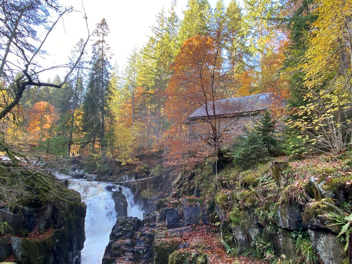 Delve into Dunkeld: Scotland’s Hidden Gem | by S | Nov, 2024 | Medium